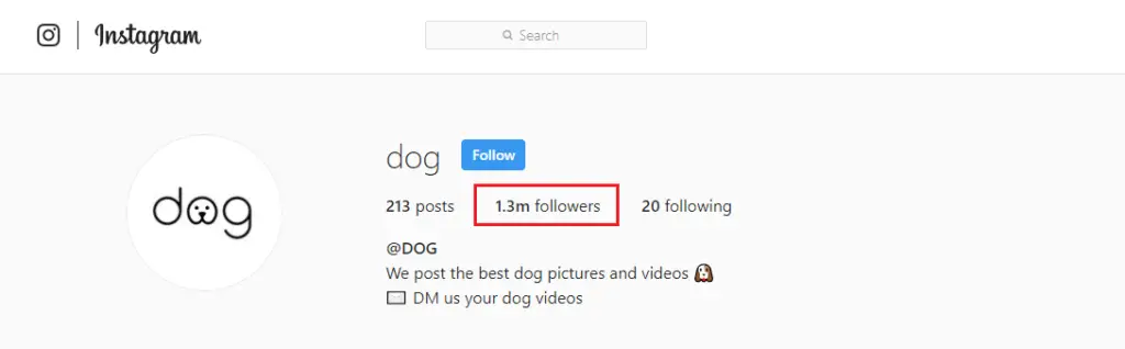 Dog Hashtags To Increase Your Instagram & TikTok Accounts