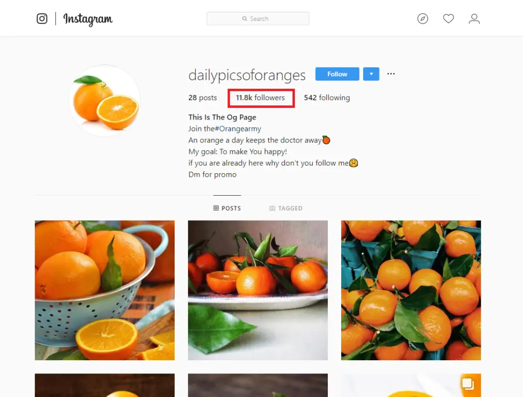 How To Grow A Meme Page On Instagram? | Hashtagie