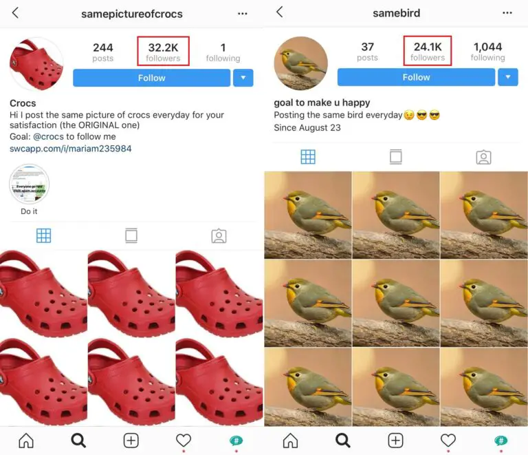 How To Grow A Meme Page On Instagram? | Hashtagie