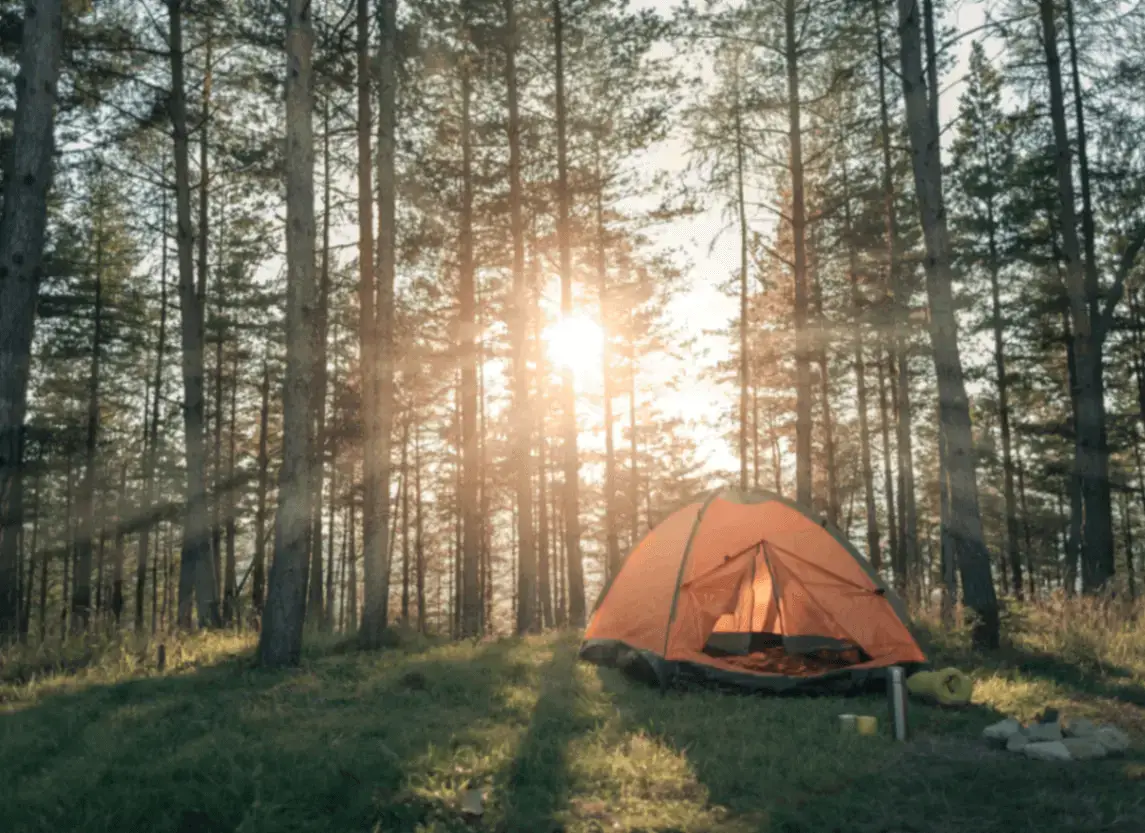 500+ Camping Instagram Captions for Nature Enthusiasts