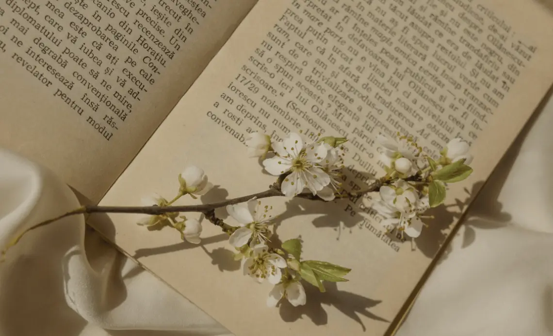 Poetry Hashtags To Increase Your Instagram & TikTok Following